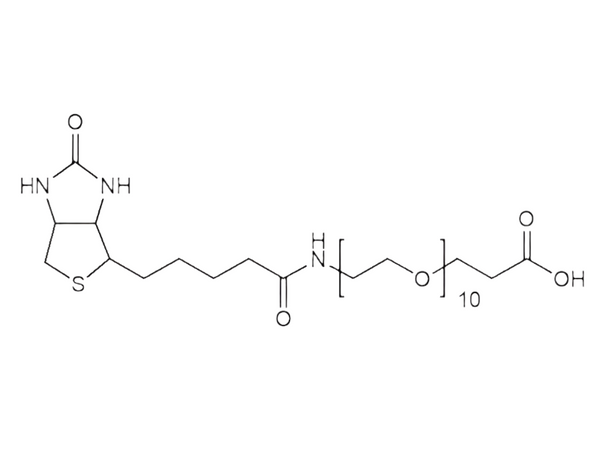 Monodispersed Poly(Ethylene Glycol) from PurePEG:(+)-Biotin-PEG10-CH2CH2COOH | PurePEG