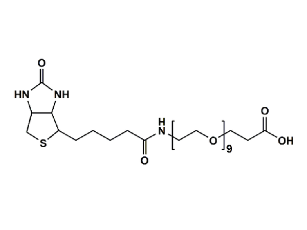 Monodispersed Poly(Ethylene Glycol) from PurePEG:(+)-Biotin-PEG9-CH2CH2COOH | PurePEG