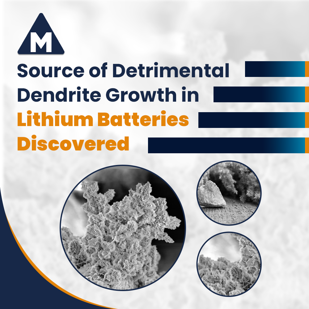 dendrite growth