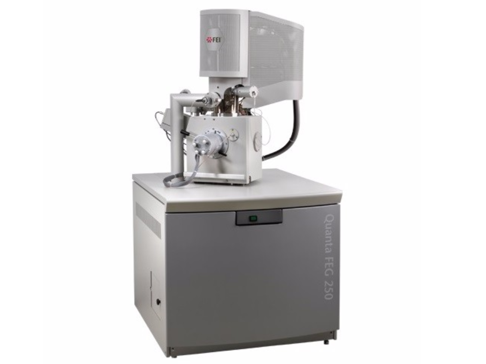 Environmental Scanning Electron Microscope (ESEM) Analytical Service ...