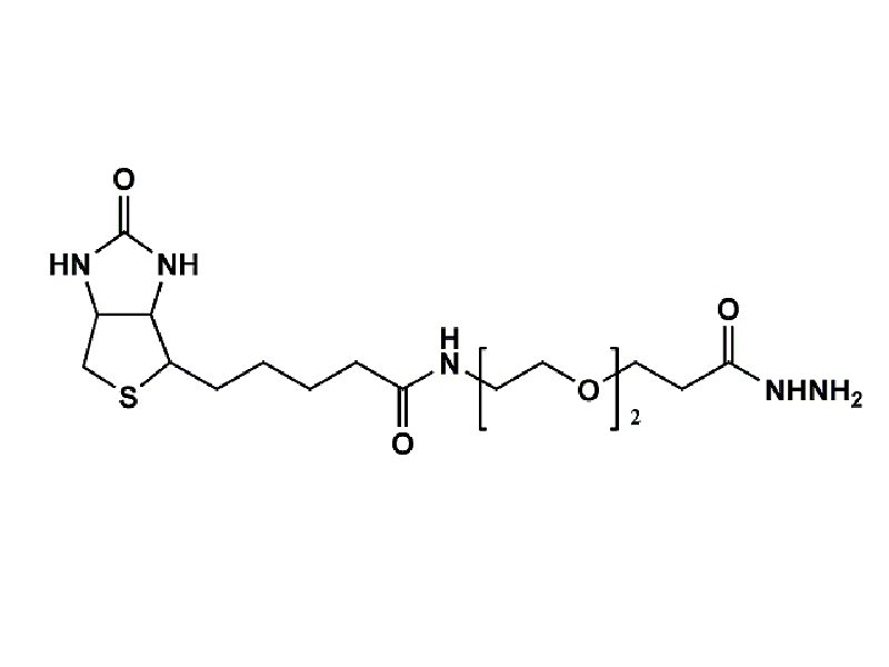 Monodispersed Poly(Ethylene Glycol) from PurePEG:(+)-Biotin-PEG2-Hydrazide | PurePEG