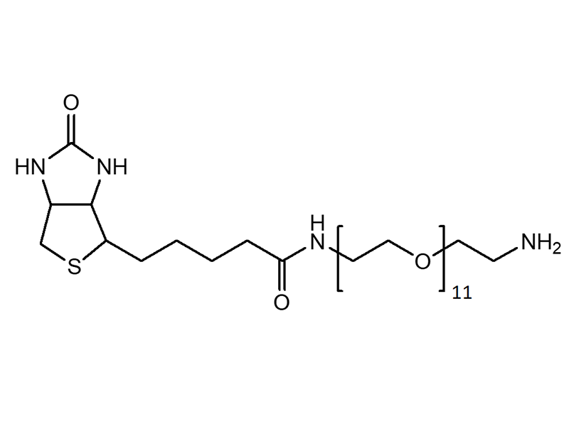 Monodispersed Poly(Ethylene Glycol) from PurePEG:(+)-Biotin-PEG11-CH2CH2NH2 | PurePEG