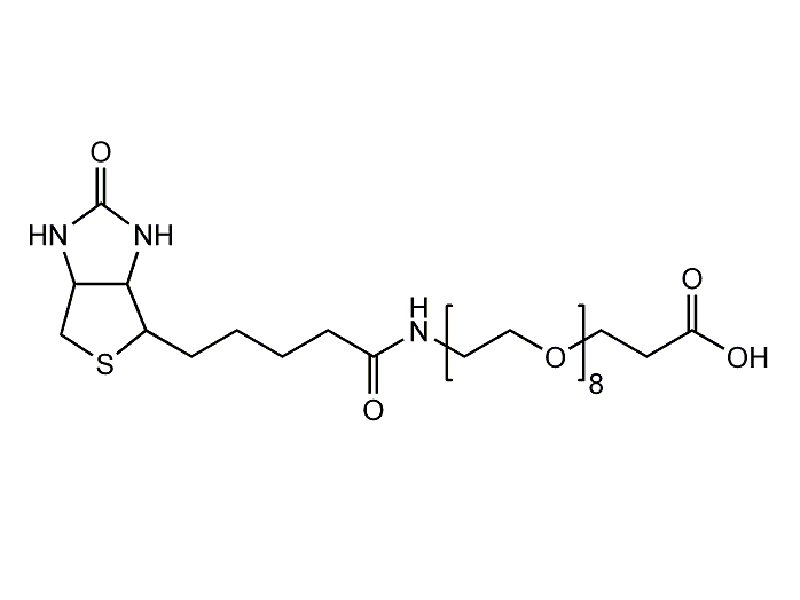 Monodispersed Poly(Ethylene Glycol) from PurePEG:(+)-Biotin-PEG8-CH2CH2COOH | PurePEG