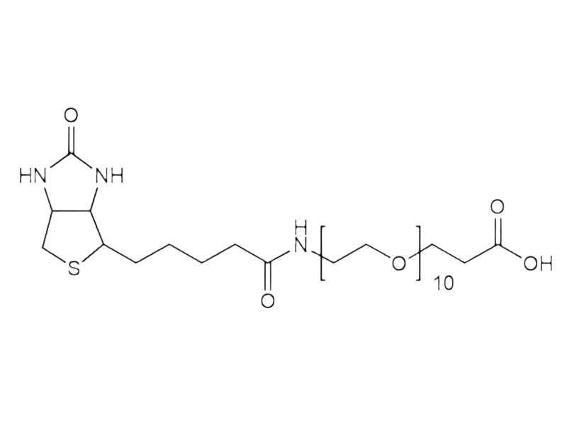 Monodispersed Poly(Ethylene Glycol) from PurePEG:(+)-Biotin-PEG10-CH2CH2COOH | PurePEG