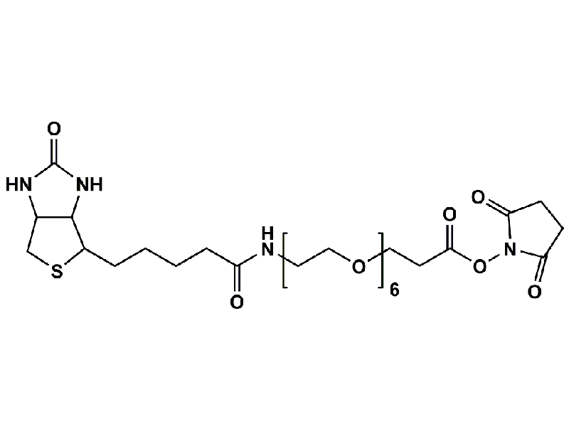 Monodispersed Poly(Ethylene Glycol) from PurePEG:(+)-Biotin-PEG6-CH2CH2COONHS Ester | PurePEG