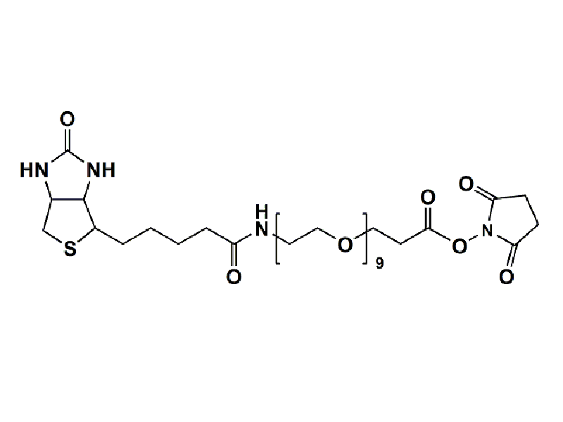 Monodispersed Poly(Ethylene Glycol) from PurePEG:(+)-Biotin-PEG9-NHS Ester | PurePEG