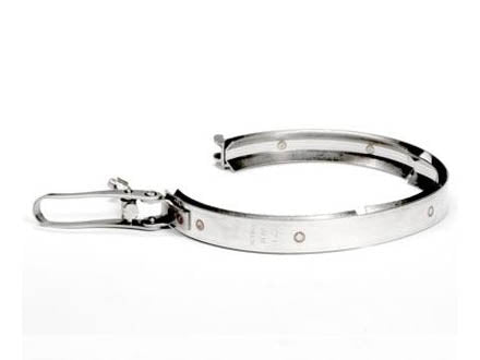 GAMRY Multiport™/Flexcell™ CPT Clamp, 4" Shot Flange