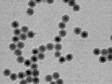 MSE PRO SiO 2 Coated Upconverting Nanoparticles Solution, 10mg/bottle