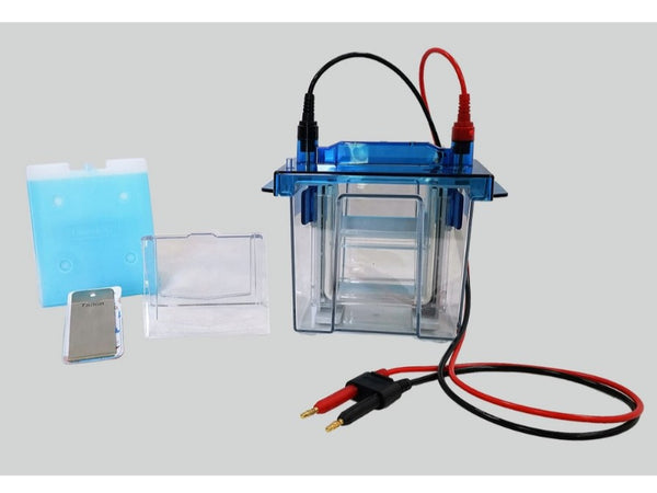 Electrophoresis Chamber Mini Gel System MHU 202 PK GENEO Labstore