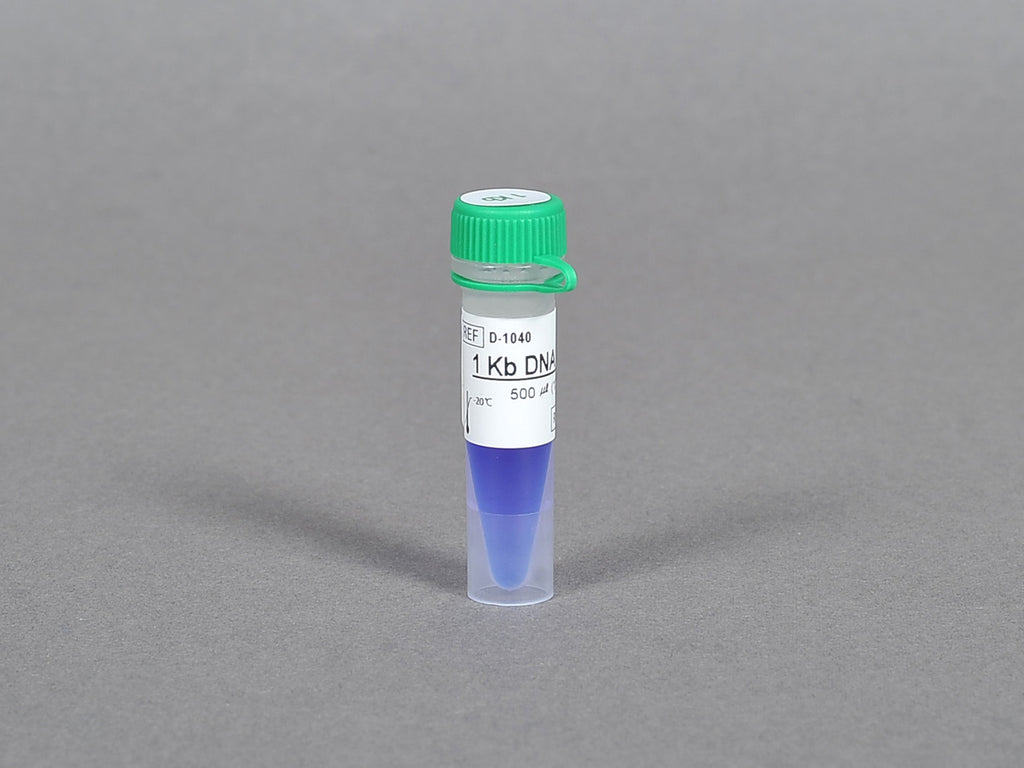 Bioneer 1 kb DNA Ladder (500 μl) | Bioneer
