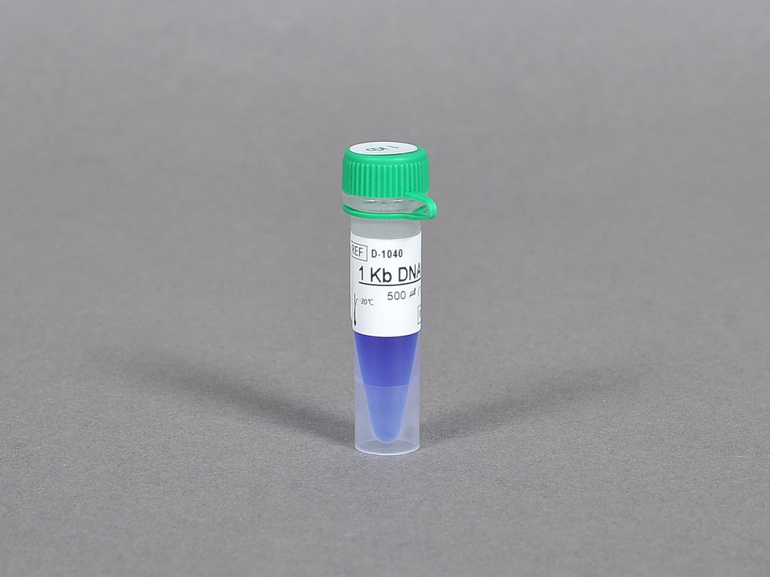 Bioneer 1 kb DNA Ladder (500 μl x 5) – MSE Supplies