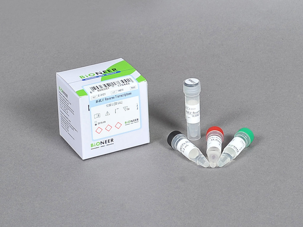 Bioneer M-MLV Reverse Transcriptase (50,000 Units) | Bioneer
