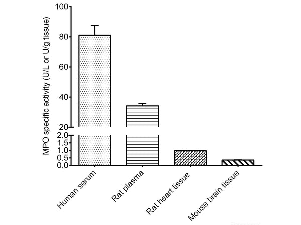 Myeloperoxidase (MPO) Activity Assay Kit | Elabscience Biotechnology