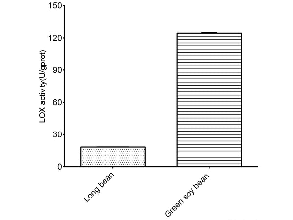 Lipoxygenase (LOX) Activity Assay Kit | Elabscience Biotechnology