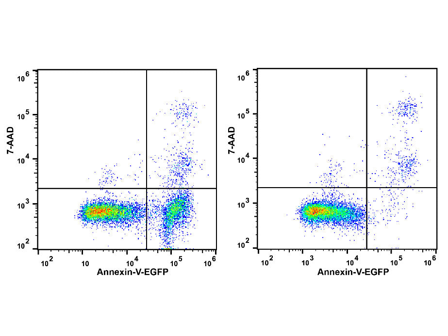 Annexin V-EGFP/7-AAD Apoptosis Kit | Elabscience Biotechnology
