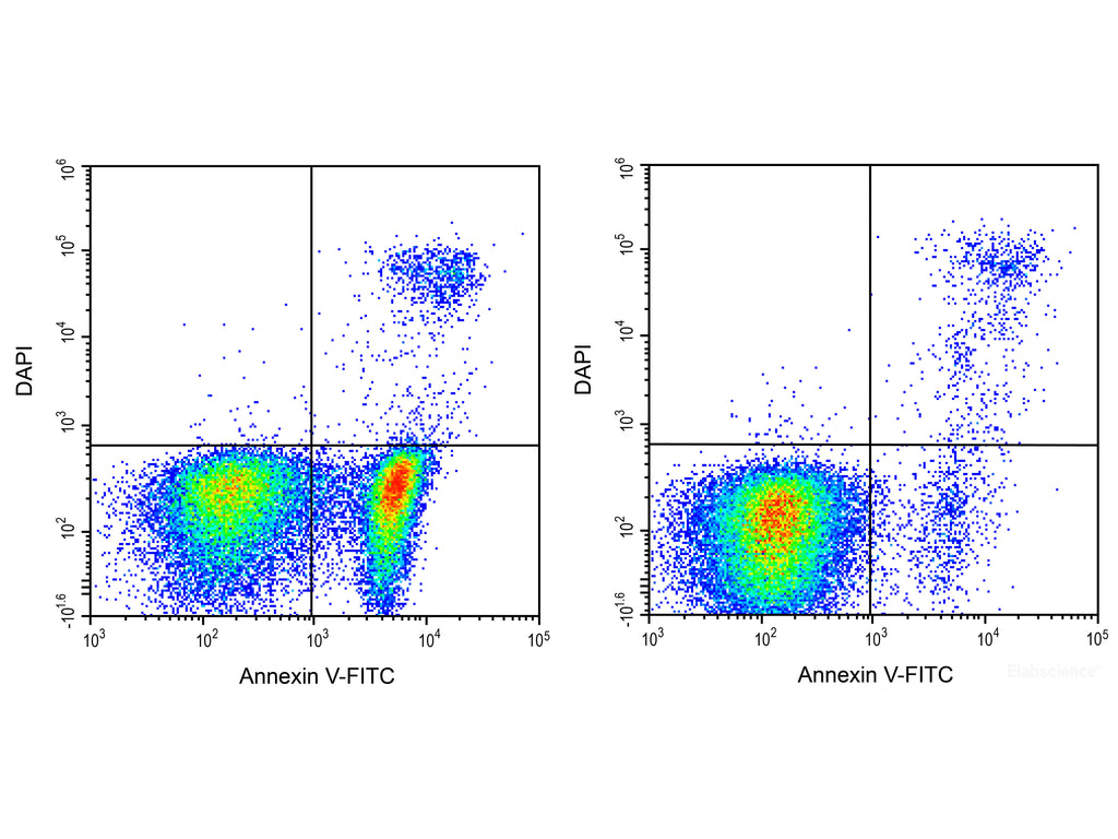 Annexin V-FITC/DAPI Apoptosis Kit | Elabscience Biotechnology