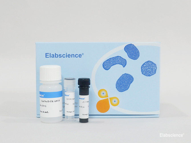 Mitochondrial Membrane Potential Assay Kit (with JC-1) | Elabscience Biotechnology
