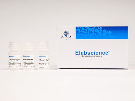 Cell Cycle Assay Kit (Blue Fluorescence) | Elabscience Biotechnology