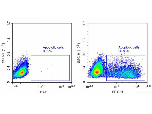 One Step Tunel Flow Cytometry Apoptosis Kit Green Fitc Elabscience