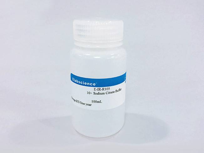 10× Sodium Citrate Antigen Retrieval Solution (pH6.0) | Elabscience ...