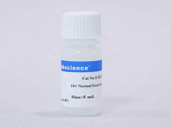 10× Normal Goat Blocking Buffer | Elabscience Biotechnology