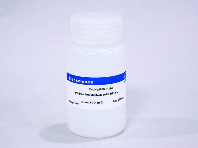 Tissue Fixation Solution / 4% Paraformaldehyde (with DEPC ...