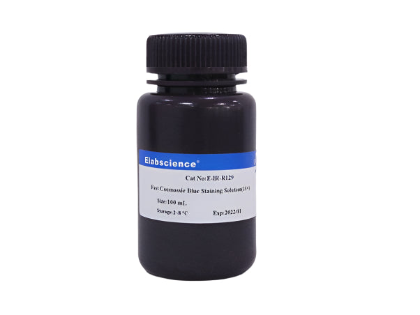 Fast Coomassie Blue Staining Solution (10×) | Elabscience Biotechnology