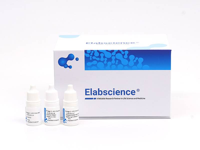 2-Step Plus Poly-HRP Anti Rabbit/Mouse IgG Detection System ...