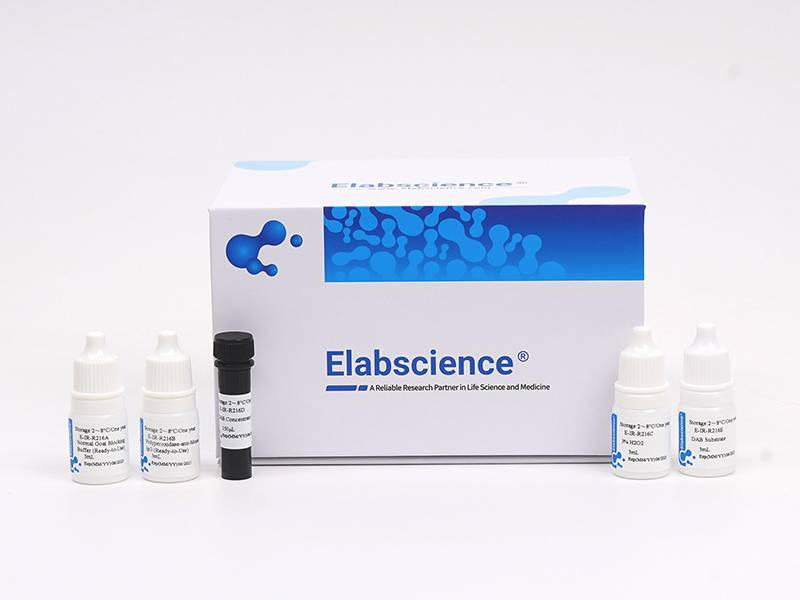 2-Step Plus Poly-HRP Anti Mouse IgG Detection System (with DAB Solution ...