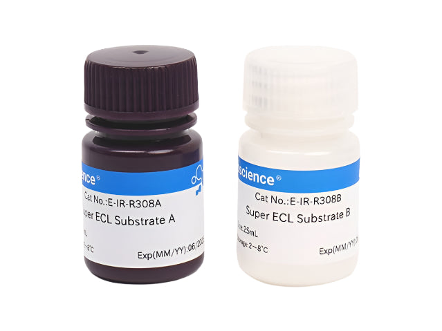 Super Excellent Chemiluminescent Substrate (ECL)Detection Kit ...
