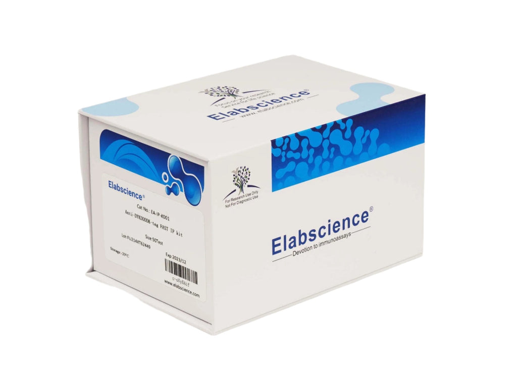 Home › IP/CoIP Kit (Magnetic Beads)