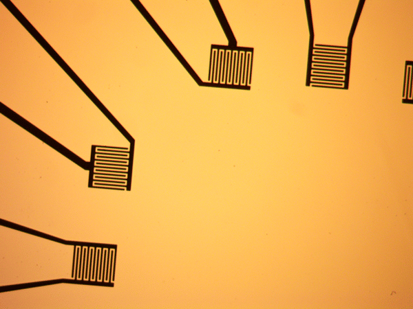 MSE PRO Interdigitated Electrode Array – 6-pack | MSE Supplies LLC