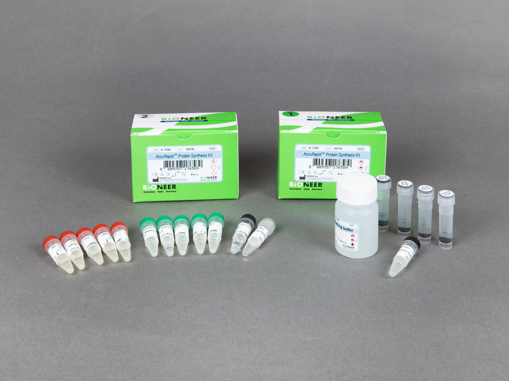 Bioneer AccuRapid Protein Synthesis Kit (5 reactions)