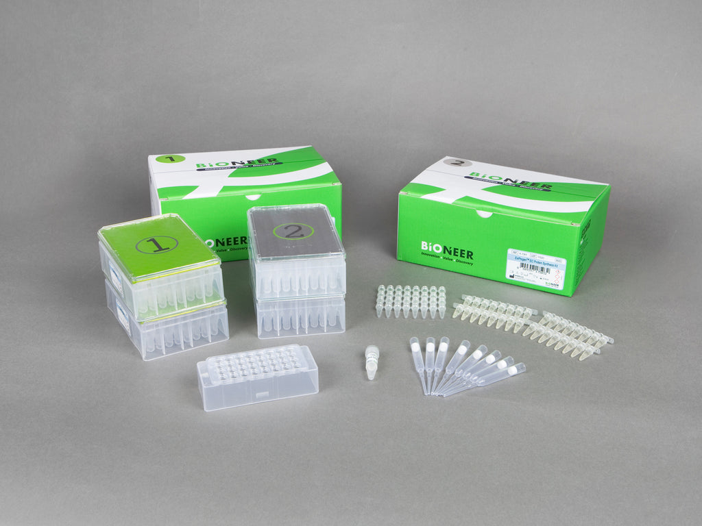 Bioneer ExiProgen EC Protein Synthesis Kit 32 (reactions) | Bioneer