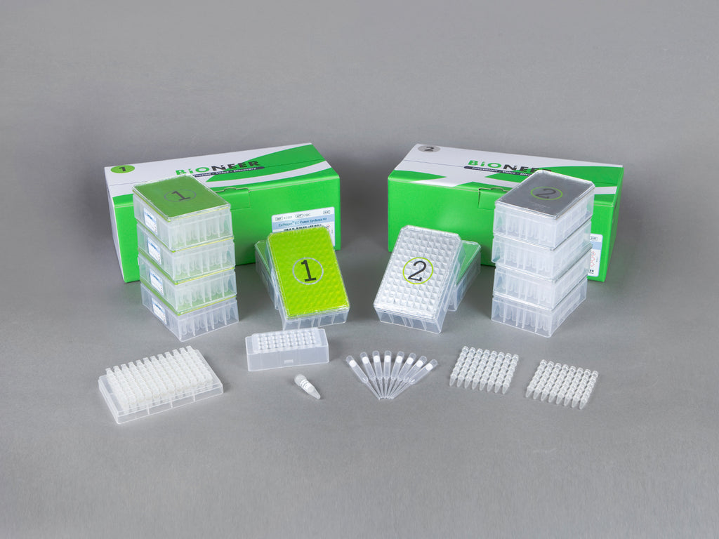 Bioneer ExiProgen EC Protein Synthesis Kit 96 (reactions) | Bioneer