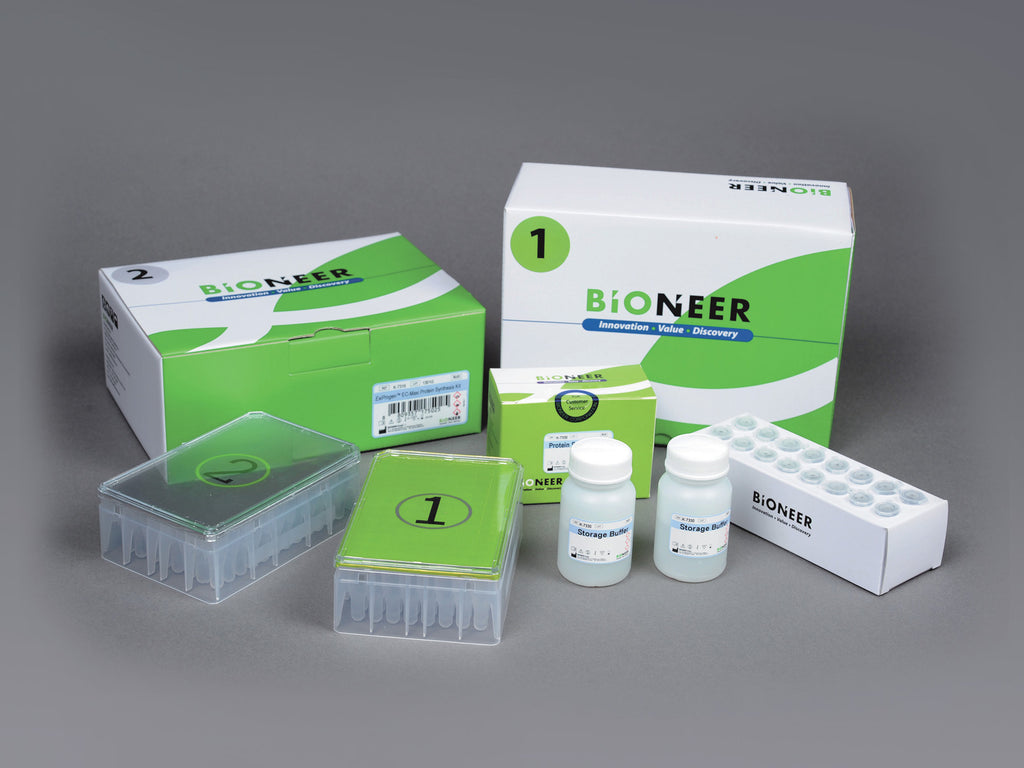 Bioneer ExiProgen EC-Maxi Protein Synthesis Kit (8 reactions) | Bioneer