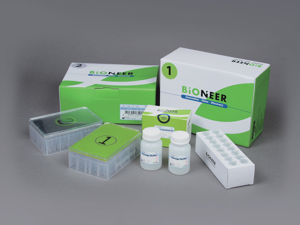 Bioneer ExiProgen EC-Tagfree Protein Synthesis Kit (8 reactions) | Bioneer