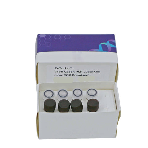 MSE PRO EnTurbo SYBR Green PCR SuperMix(Low ROX Premixed) | MSE ...