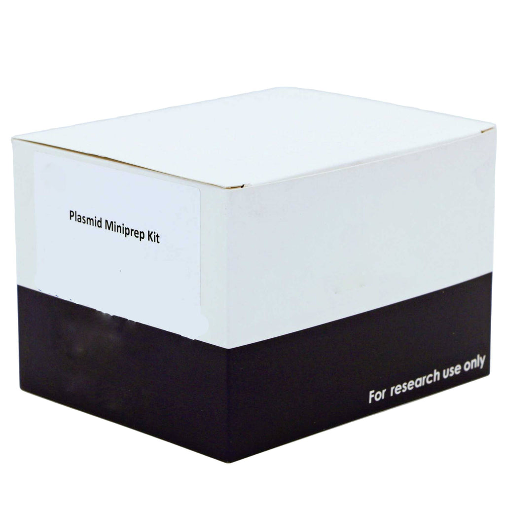 MSE PRO Plasmid Miniprep Kit | MSE Supplies LLC