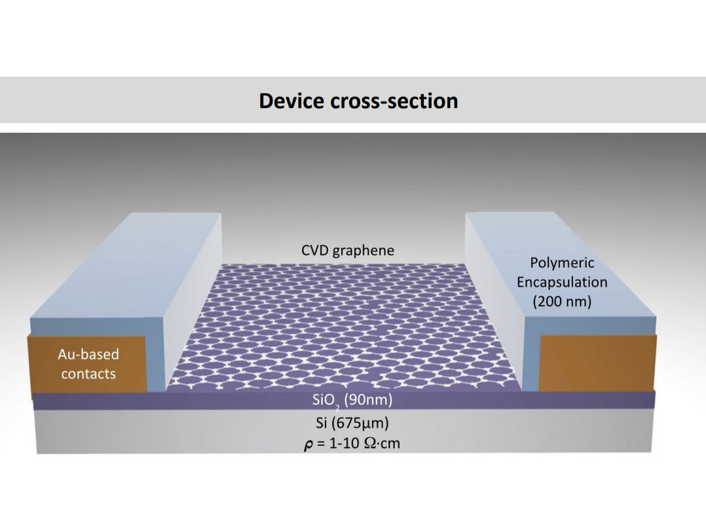 MSE PRO Graphene Field-Effect Transistors (GFETs) for Sensing ...