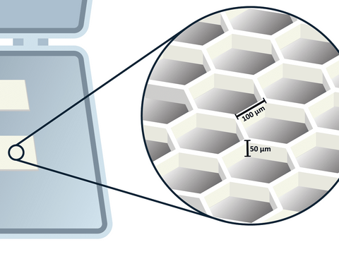 MSE PRO Microwell Arrays | Honeycomb Substrates - MSE Supplies LLC