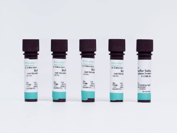 Anti-Nanobacteria Treatment Reagent (200×) | Elabscience Biotechnology