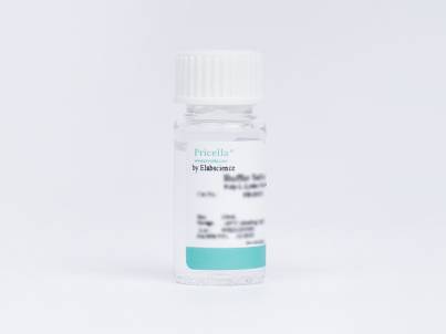 Insulin-Transferrin-Selenium-Ethanolamine (ITS -X) (100×) | Elabscience Biotechnology