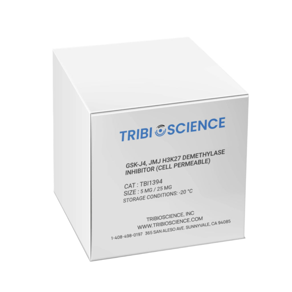 Tribioscience GSK-J4, JMJ H3K27 Demethylase Inhibitor (Cell Permeable) (TBI1394) | Tribioscience