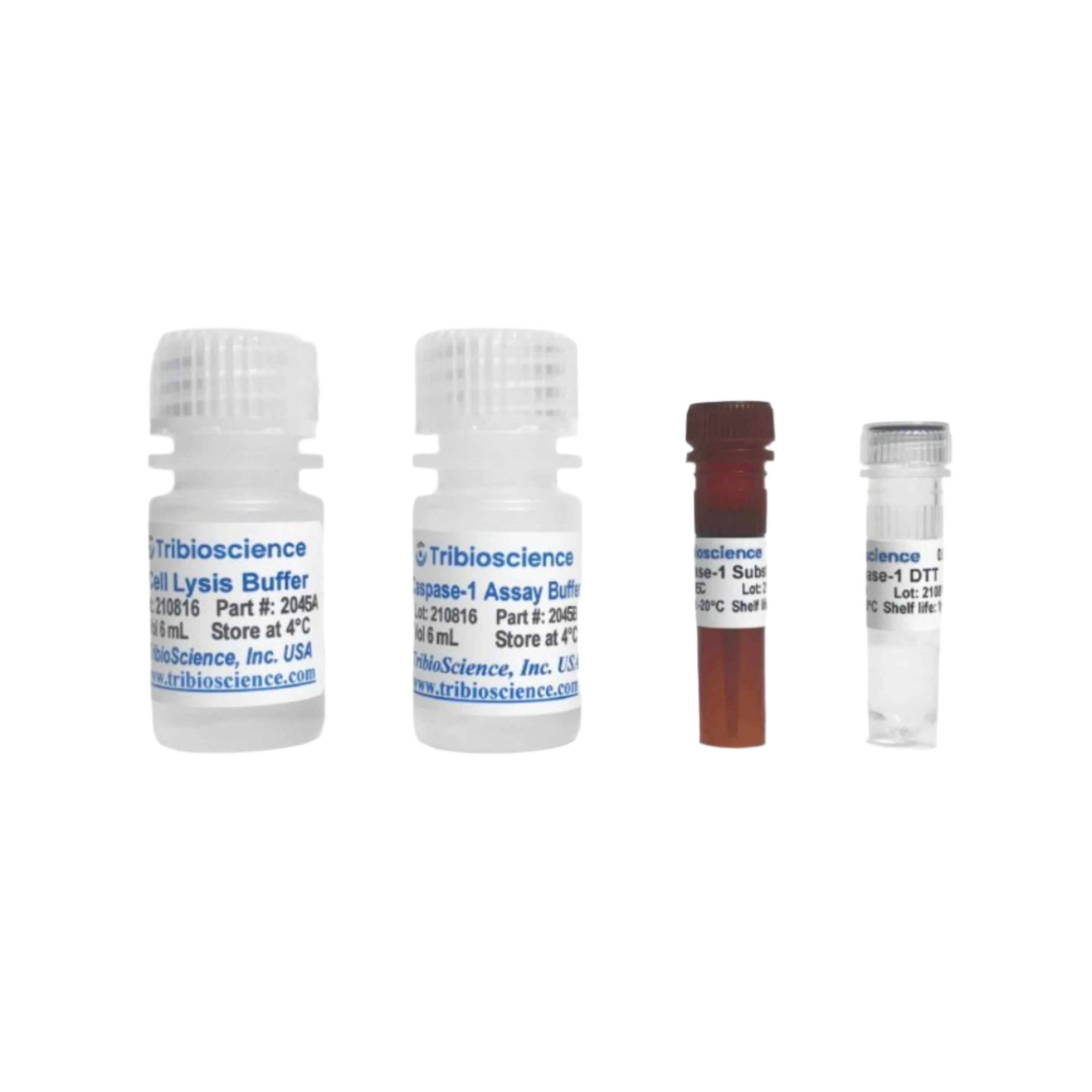 Tribioscience Caspase-1 Fluorometric Assay Kit (TBS2045) – MSE Supplies LLC