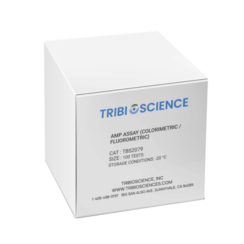 Tribioscience AMP Assay (Colorimetric / Fluorometric) (TBS2079) | Tribioscience