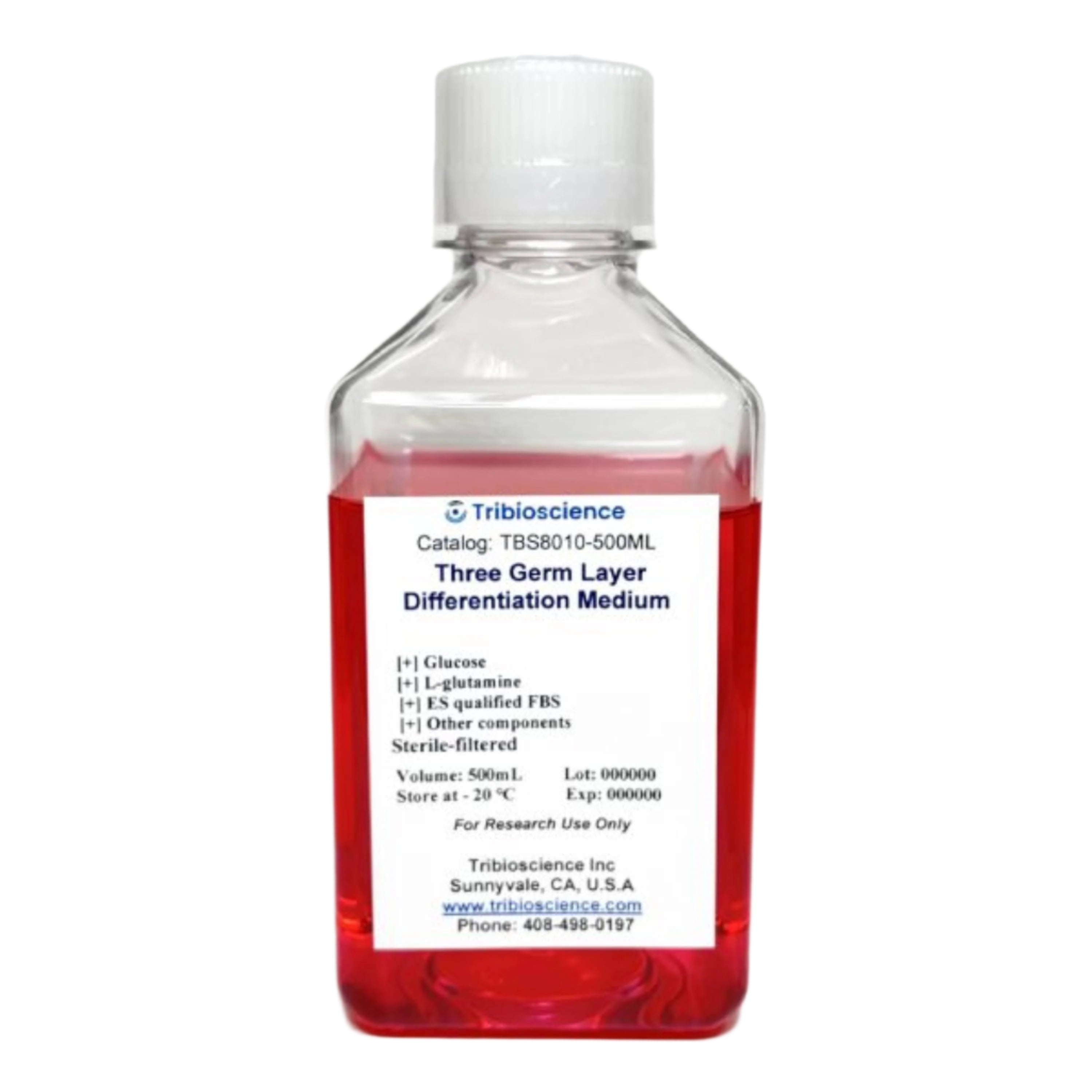 Tribioscience Three Germ Layer Differentiation Medium – MSE Supplies