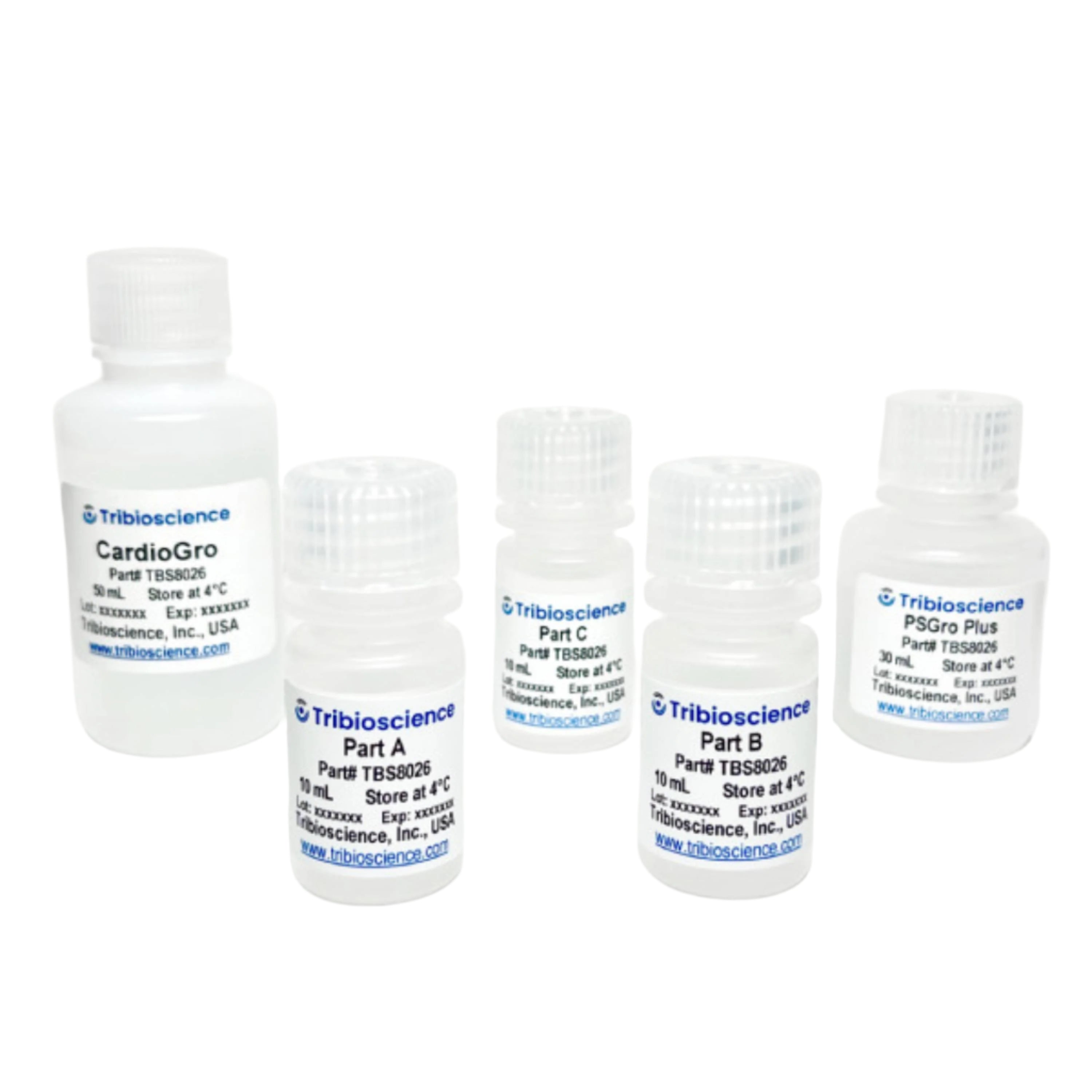 Tribioscience Tribo™ Cardiomyocyte Differentiation Kit (TBS8026) – MSE ...