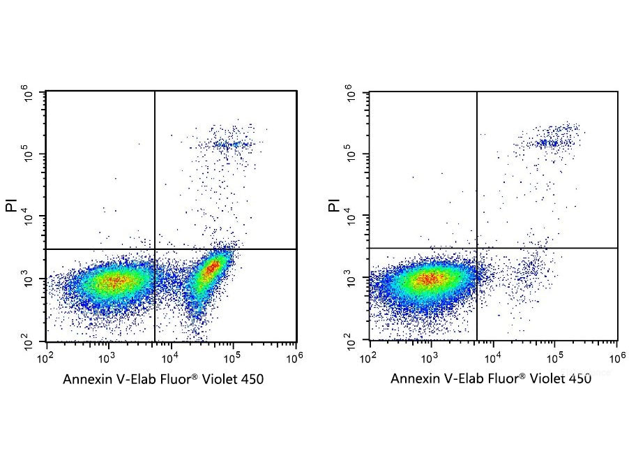 Annexin V-Elab Fluor® Violet 450/PI Apoptosis Kit | Elabscience ...