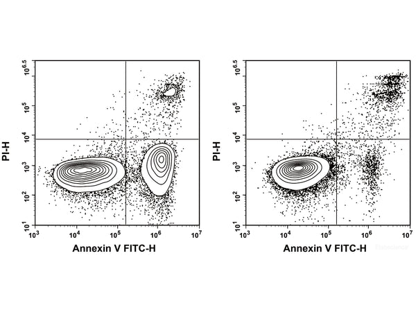 Annexin V-FITC/PI Apoptosis Kit | Elabscience Biotechnology